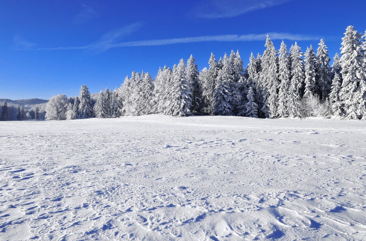 What to do in Lausanne in January? – Lausanne Tourisme - Official Website